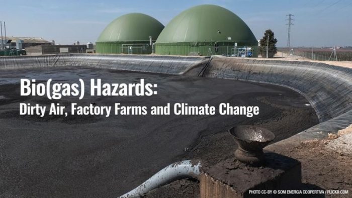 Public Justice | biogas hazards